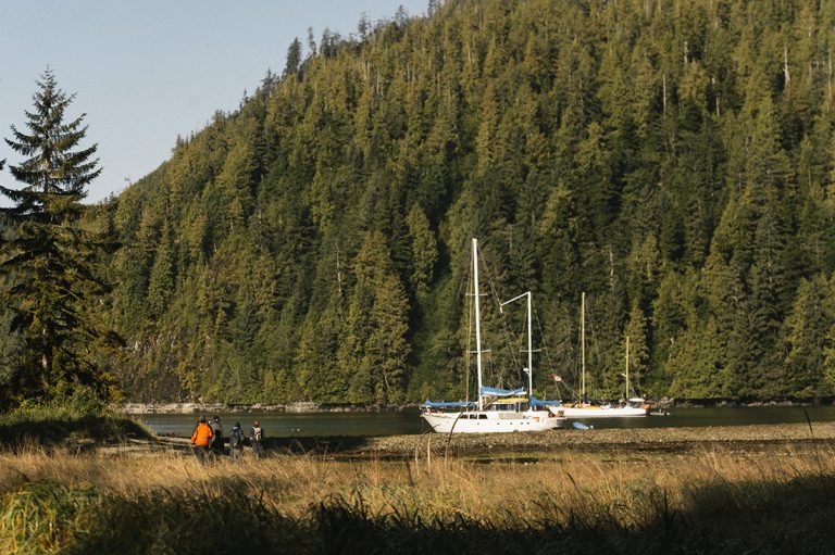 Archeologists Made A Discovery In The Triquet Island Only To Change The ...